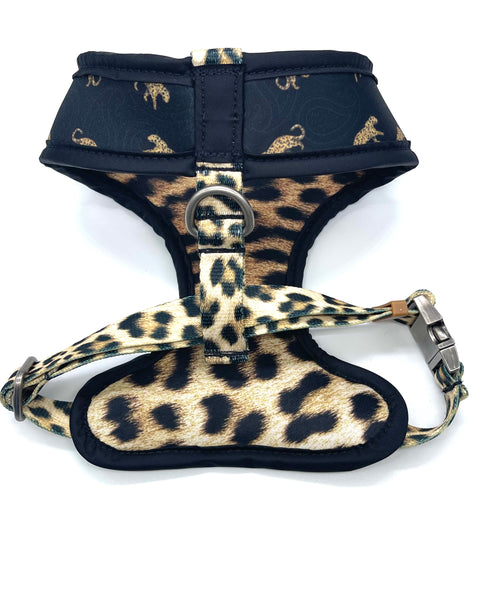 Leopard - Leopard Cats Harness – PawsitivityCo